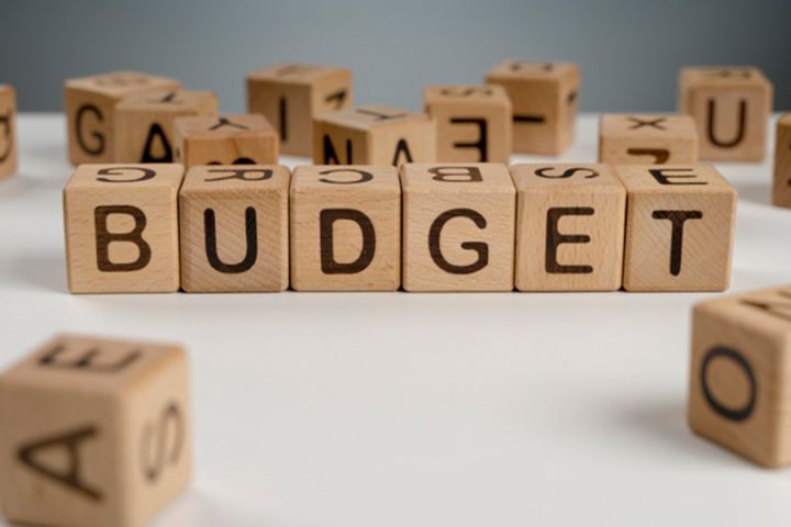 Federal Budget 2020-21 At A Glance - High Numbers